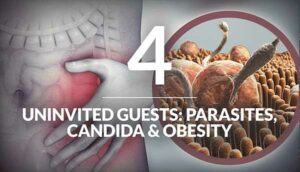 Welcome - The Gut Solution Series