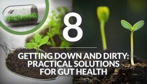 Welcome - The Gut Solution Series